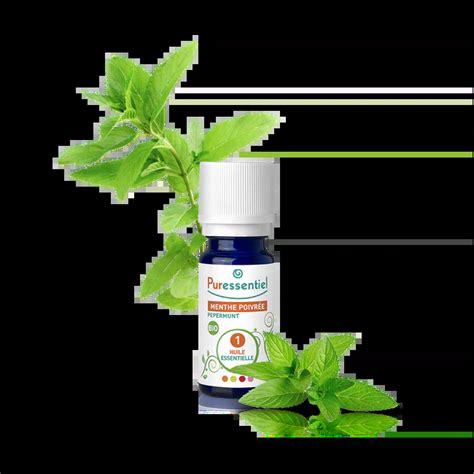 Puressentiel Huile Essentielle Menthe Poivrée BIO 10 ml Didoucha