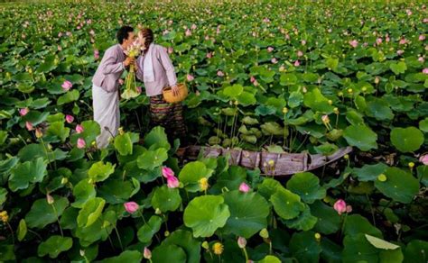 Ghé khu du lịch sinh thái Đồng Sen Tháp Mười checkin cực đẹp HaloTravel