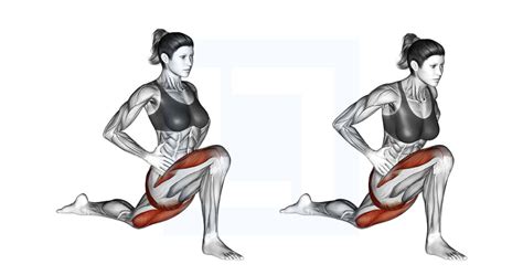 Kneeling Hip Flexor Guide Benefits And Form