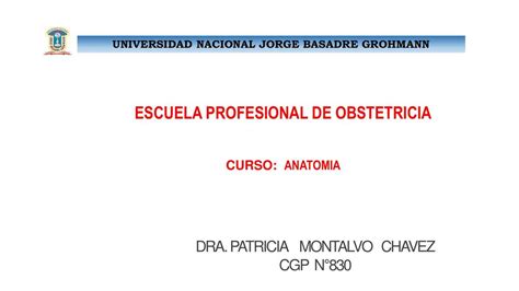 Pr Cticas Sistema Oseo Y Articular Martina Fernandez Escobar Udocz