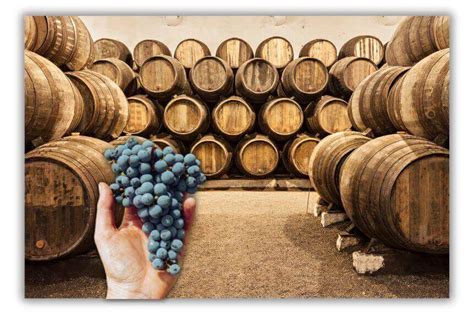 El proceso de producción del vino a pequeña escala de la vid a la