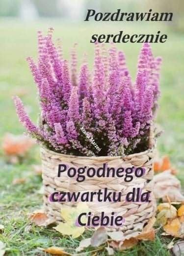 Pin Di Nelly Yllen Su Czwartek Fiori Di Erica Buongiorno Buongiorno