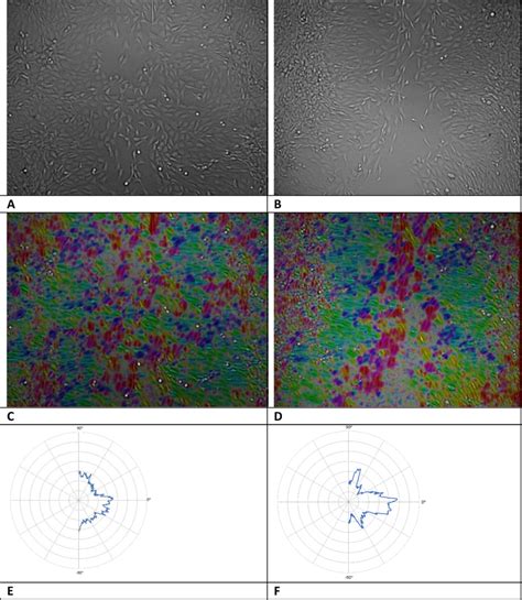 A B Initial Bright Field Images Of Cells C D Hue Saturation And