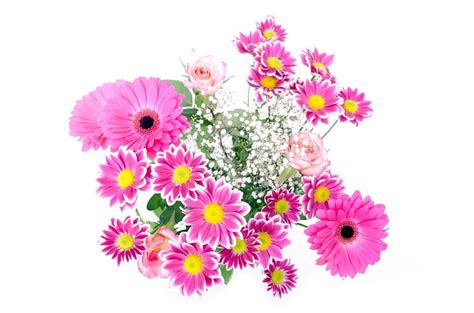 Blomster Blomst Planter Gratis bilde på Pixabay Pixabay