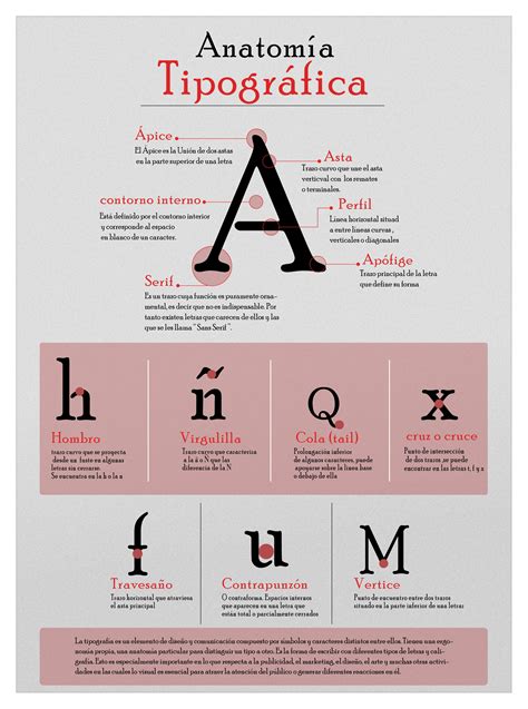 Anatomía Tipográfica Anatomia tipografica Alfabeto de tipografía