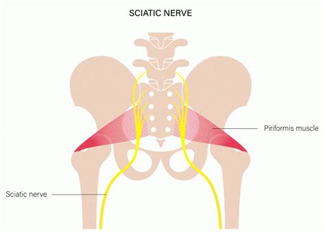 The 11 Best Piriformis Stretches To Help Eliminate Butt And Hip Pain