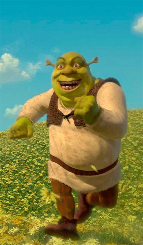 Funny Shrek Wallpapers Top Free Funny Shrek Backgrounds WallpaperAccess