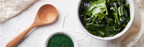 Spirulina co to jest spirulina właściwości zdrowotne Apo Discounter pl