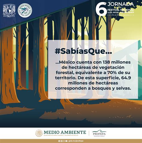 SEMARNAT México on Twitter La PROFEPA Mx nos comparte el siguiente