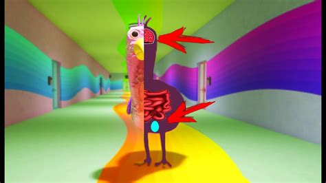 WHAT IS INSIDE Opila JUMPSCARE Garten Of Banban 3 YouTube