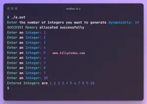 Allocate Memory Dynamically Using Malloc Function In C Language