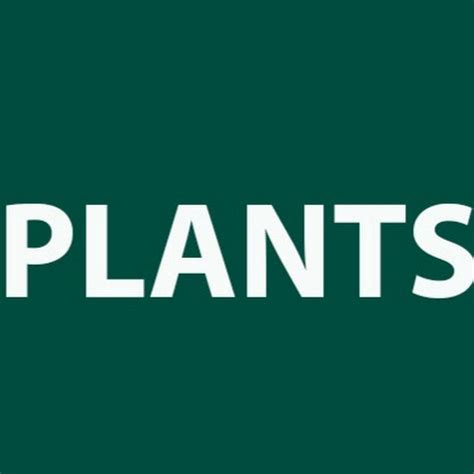 Plants Youtube