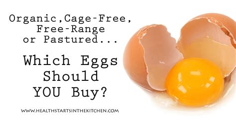 A Guide To Cage Free Free Range Pasture Raised Eggs Clean 41 OFF