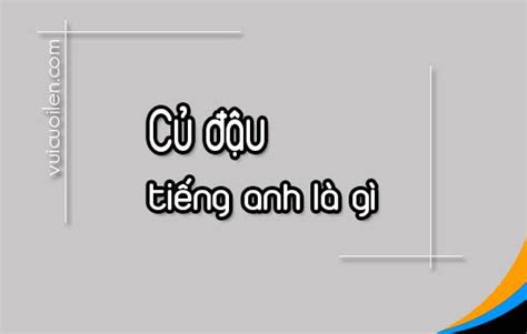 Rất Hay Tổng hợp củ đậu tiếng anh là gì Hot Nhất 2023