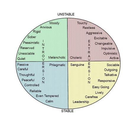 BODY TYPE CLASICAL TEMPERAMENT THEORY Somatotype Personality Type