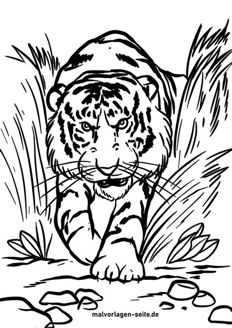 Ausmalbilder Tiger Ausmalbild Kostenlos Herunterladen