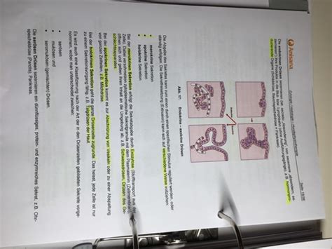 Histologie Karteikarten Quizlet