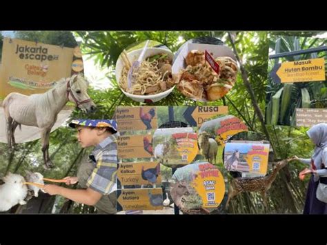 Wisata Masuk Gratis Jakarta Escape Rumah Perubahan Explore Seru
