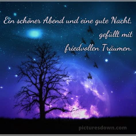 Schönen freitag abend und später eine gute nacht bilder Baum