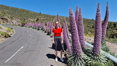 6 LA PALMA ROQUE DE LOS MUCHACHOS MIRADOR DE IZCAGUA PORÍS DE