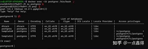 使用 docker 安装 postgresql 数据库 知乎