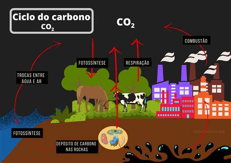Mapa mental do Ciclo do carbono Ciclo do carbono Cartazes cristãos