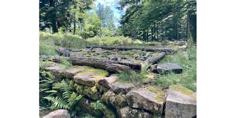 Vosges Entre panorama et plongée dans lhistoire un pique nique idéal