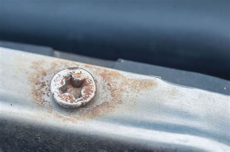 Standard License Plate Screw Sizes Explained Find Your License Plate S