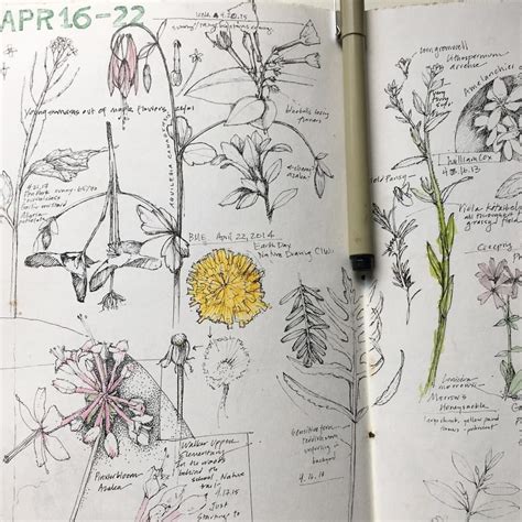Pin By Maxie Jingles On Journal Ideas Art Journal Pages Botanical
