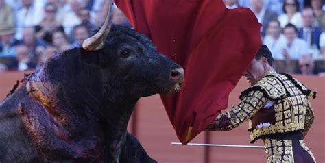 Suprema Corte Determina Que Corridas De Toros Y Peleas De Gallos Son