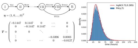 phase type approximation of the log normally distributed rupture time download scientific
