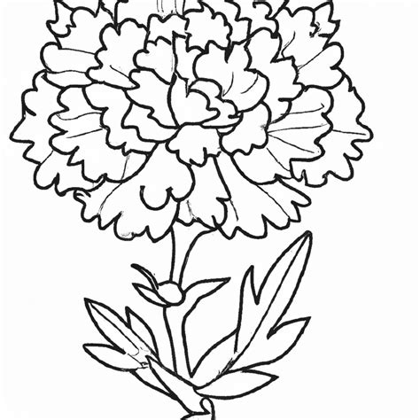 Introduzir 120 Imagem Desenho De Cravo Para Colorir Br Thptnganamst