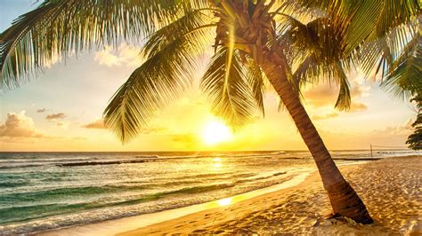 Coucher de soleil plage tropicale Fond d écran Ultra HD