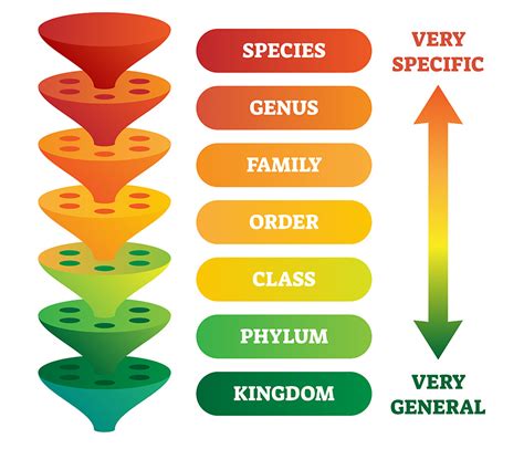 Order Biology
