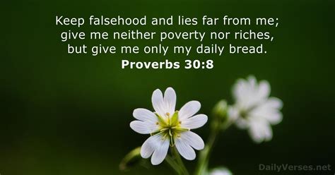 Proverbs Bible Verse Dailyverses Net