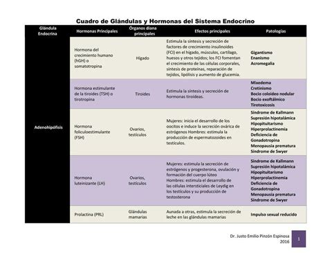Cuadro de glándulas endocrinas Lorena uDocz