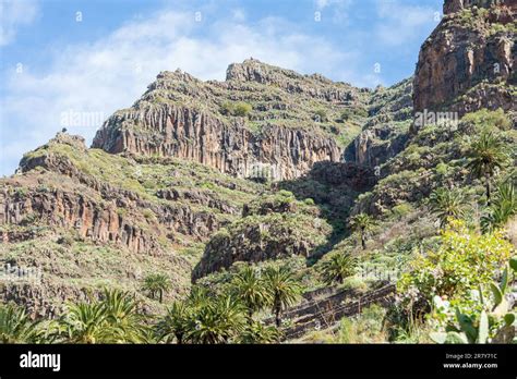 Typische Landschaft für das Valle Gran Rey den wunderschönen Canyon