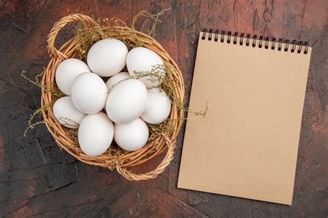 Images de Nid Poule Vide Téléchargement gratuit sur Freepik