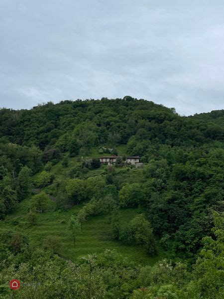 Rustici Casali Con Giardino Privato In Vendita A Torre De Busi Casa It