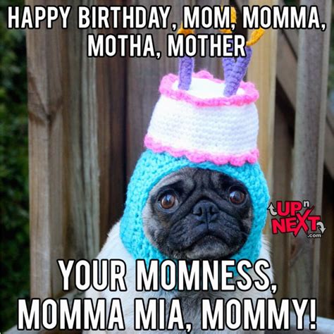 Funny Happy Birthday Meme For Mom BirthdayBuzz