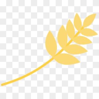 Primera Comunion Png Transparent Png 852x593 3751903 PngFind