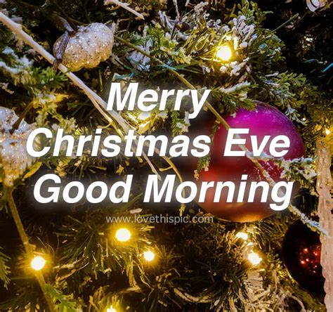 Bright Tree Merry Christmas Eve Good Morning Quote Pictures Photos