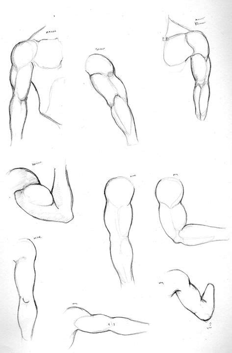 20 Ideias De Desenho Corpo Humano Tutorial De Desenho Tutoria NBKomputer
