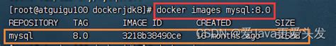 docker安装mysql8 0的详细步骤 附图文 docker 脚本之家