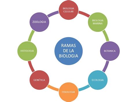 29 Ramas de la Biología Clasificación ejemplos y características