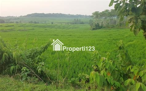Tanah Dijual 12 800 M2 Di Jonggol Bogor Dekat Rencana Proyek Jalan Tol