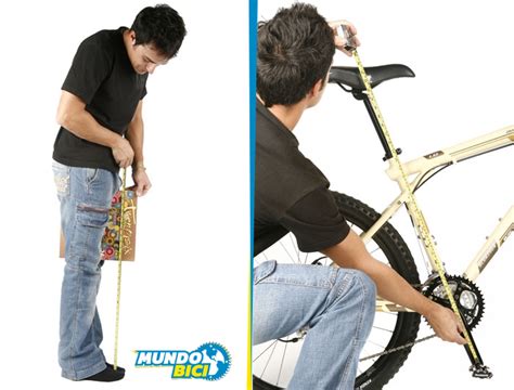 Lo Que Necesitas Saber Sobre La Talla De La Bicicleta