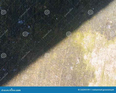Mossy Concrete Wall Texture For Background Royalty Free Stock