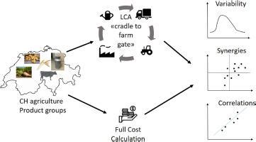 Farm Diversity Impacts On Food Production Income Generation And