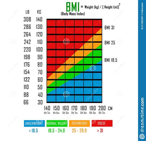 What Should A Foot Man Weigh Many Factors Postureinfohub